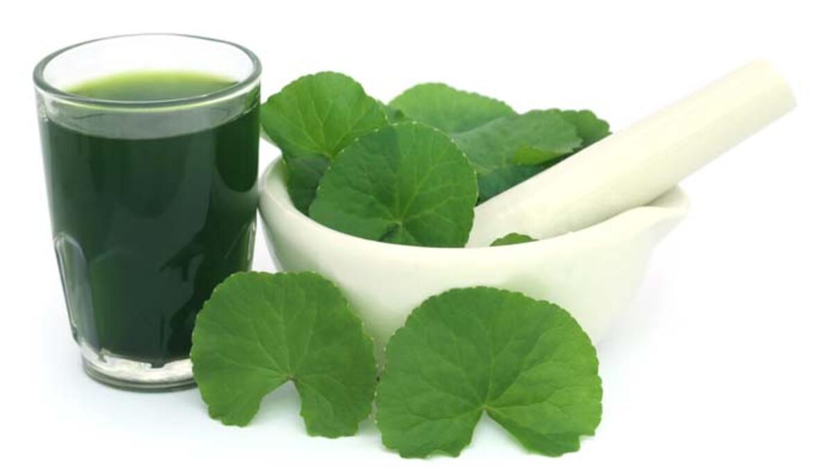 Nước Ép Rau Má - 6 Công Thức Thanh Nhiệt. Đẹp Da. Giải Độc